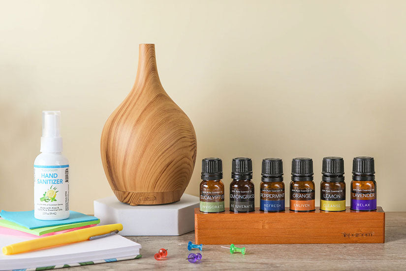 Your Complete Back-to-School Bundle for Focus, Calm, and Energy | Sparoom