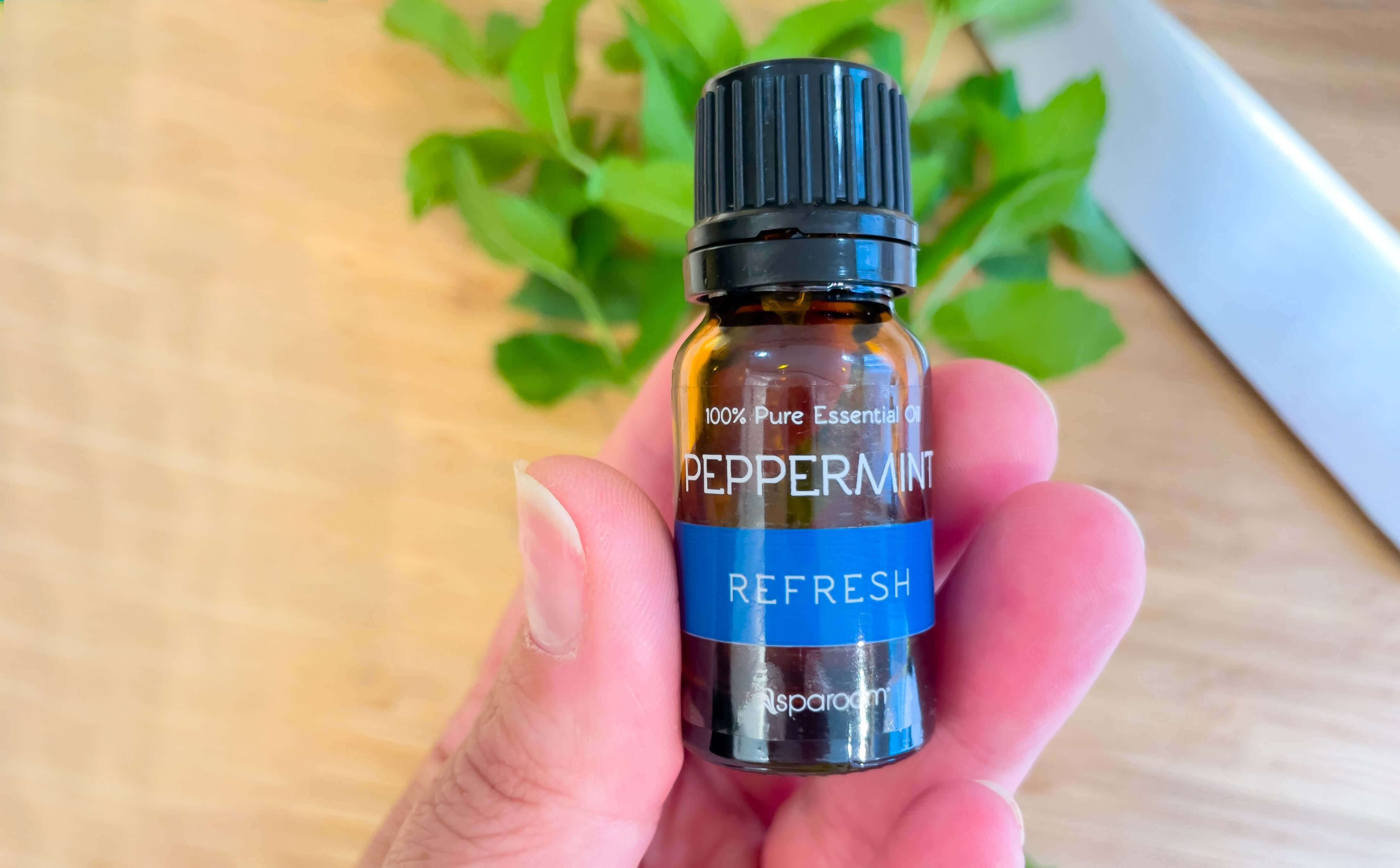 How Peppermint Can Help Your Morning Routine | Sparoom