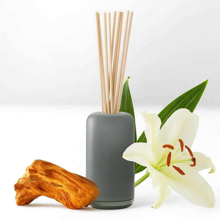 Reed Diffusers & Refills: Elevate Your Space Naturally | Sparoom